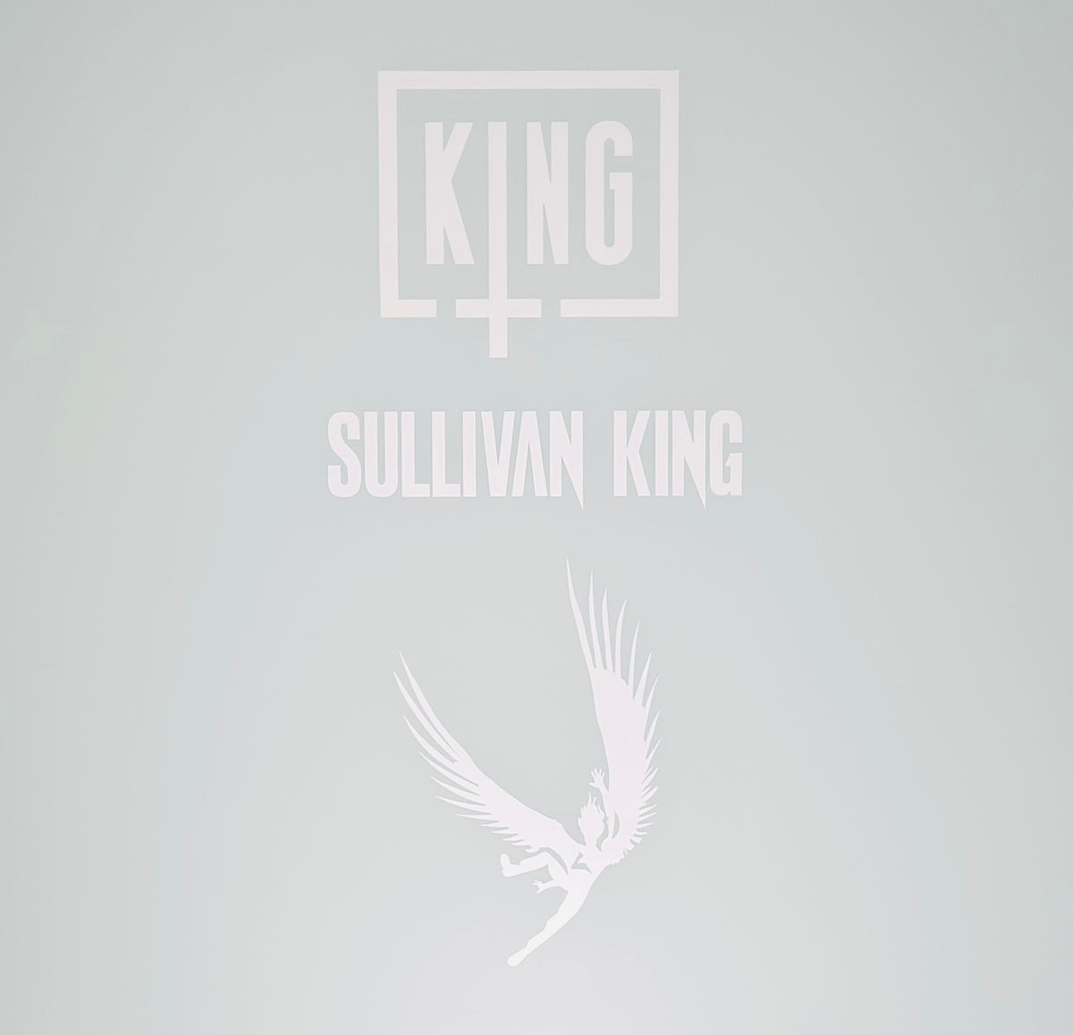 Car Decal (3 Pack) | Thank You For Raging Apparel